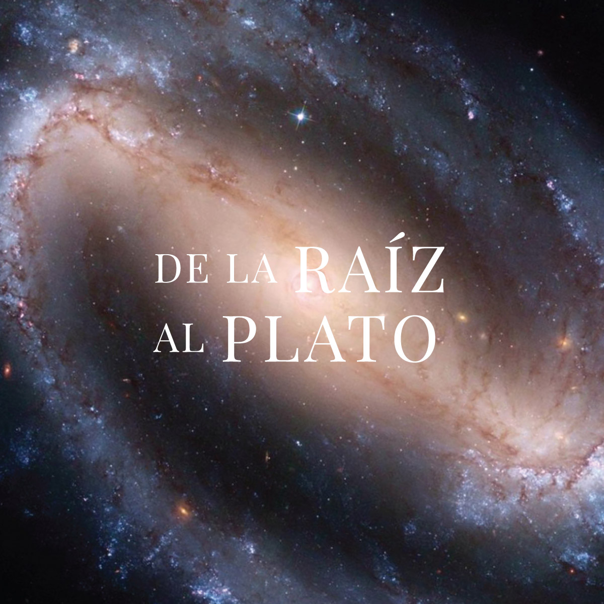 Danielle Buss | De la Raíz al Plato