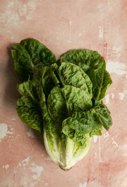 Lechuga romana | De la Raíz al Plato