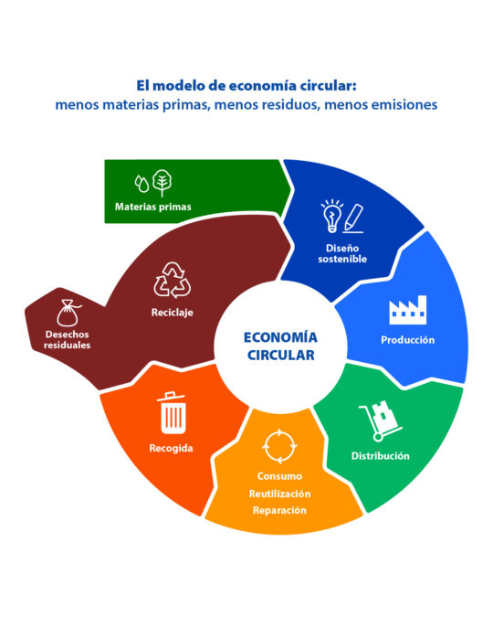 Economía Circular | De la Raíz al Plato